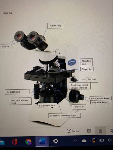 BIO Midterm Lab Practical Flashcards Quizlet