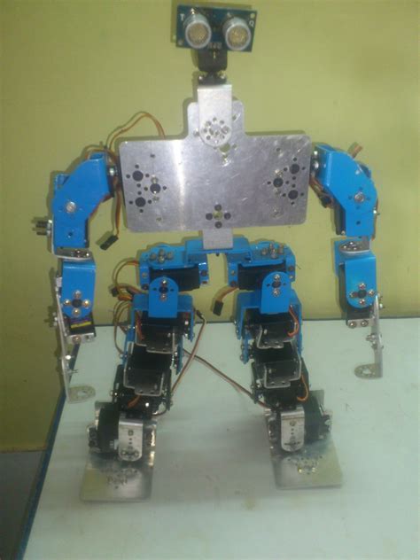 Danuc Humanoid Robot Build