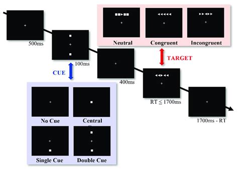 Attention Network Task Participants Will Need To Indicate The Download Scientific Diagram