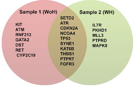 Venn Diagram Showing Cancer Driver Genes In Each Sample Genes In Red Download Scientific