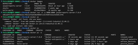 Dcoker Container Not Running After Building The Image And Running The Container General
