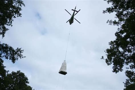 Chai Siris Th Palais De Tokyo