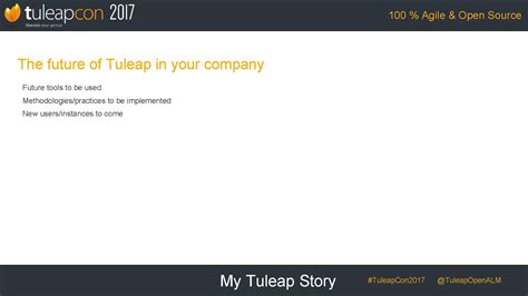 100 Agile Open Source Company Surname Name Position