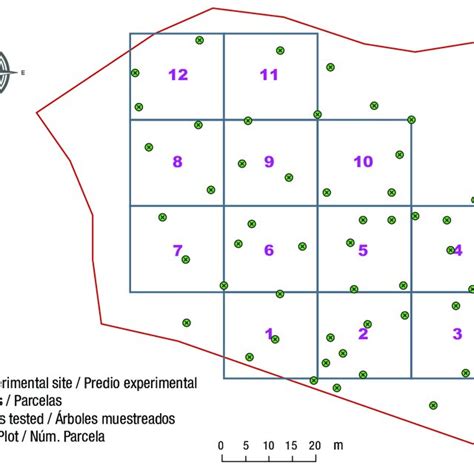 Projection Of The Studied Polygon And Spatial Location Of The Plots And