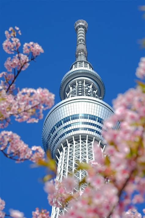 300000 Free Wallpaper Pc Japan And Hd Wallpaper Images Pixabay