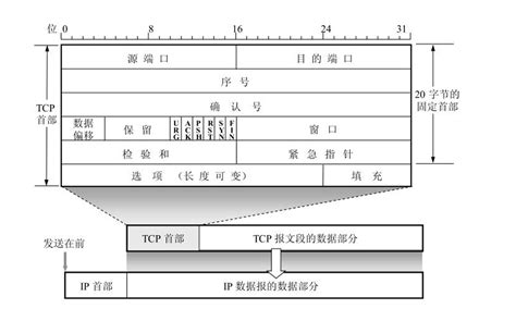 Tcp协议的首部结构？ 韓さん 博客园