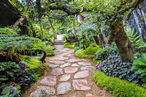 무료 이미지 아름다운 아름다움 지독한 식물의 식물학 꽃다발 닫기 닫다 색깔 화려한 시원한 한 지방 플로라 꽃 무늬의 선도 정원 원예 잔디