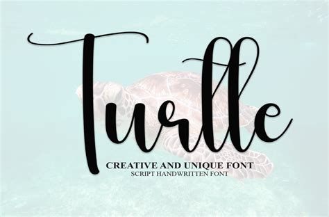 Turtle Font By William Jhordy · Creative Fabrica