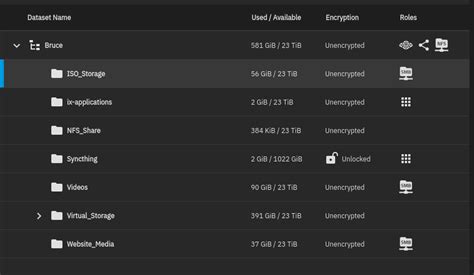 nfs mounts but no data showing truenas community