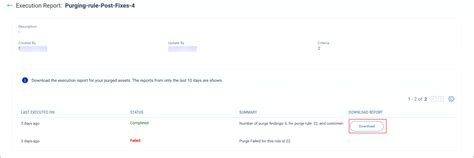 Download Execution Report For Findings