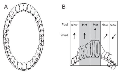 Huygens Principle Using Elliptical Wavelets Each Vertex Along The