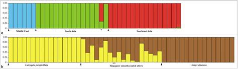 bayesian analysis of str multilocus genotypes as computed with