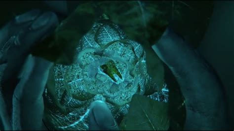 少年派的奇幻漂流 高清图片，堆糖，美图壁纸兴趣社区