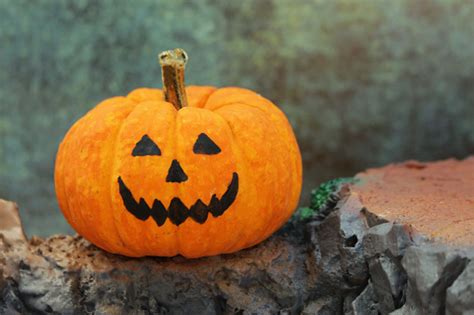 할로윈 호박 메시지의 클로즈업 이미지 해피 할로윈과 트릭 또는 플라스틱 모델 바위 장면에 오렌지 박에 그려진 텍스트 치료 0명에 대한 스톡 사진 및 기타 이미지 Istock