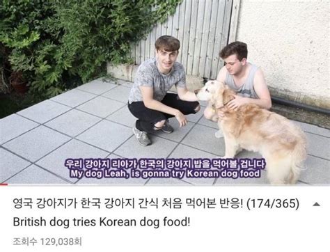 갈데까지 간 외국 반응 인스티즈instiz 이슈 카테고리