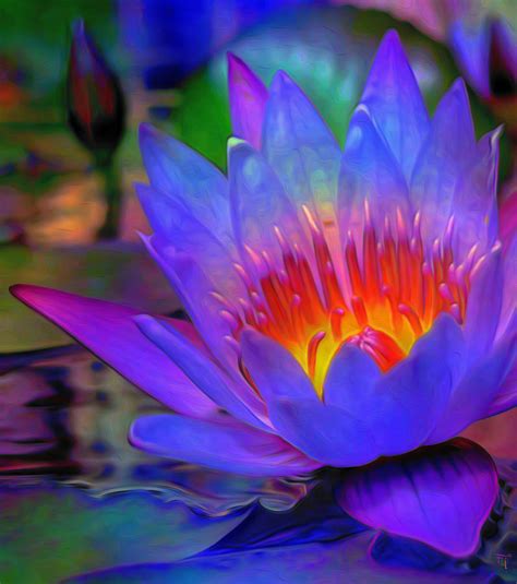 Blue Lotus Painting By Byron Fli Walker Pixels