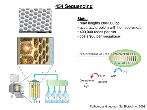 Ppt Cs 5263 Bioinformatics Powerpoint Presentation Free Download
