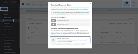 Umbrella Orginfojson Provisioning And Anyconnect Via Ise Cisco Umbrella