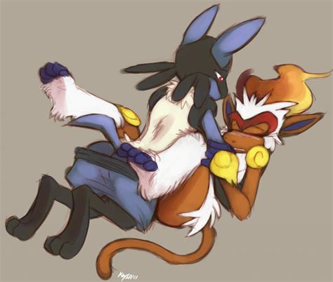 Rule 34 Infernape Lucario Mel The Hybrid Pokemon 885539