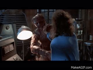 Fly Film Panikk  Airplane Panic S Find And Share On Giphy