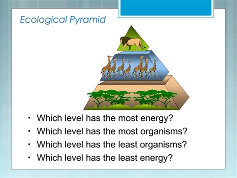 Trophic Levels Energy And Pyramids Ppt