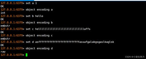 【redis】redis五种常用数据类型和内部编码以及对string字符串类型的总结redis 字符串编码 Csdn博客