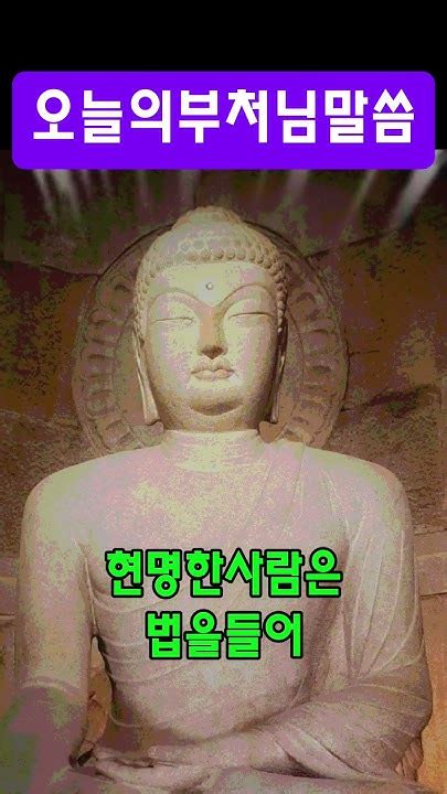 오늘의부처님말씀법구경 마음공부 명언 자기수행 좋은글 Youtube