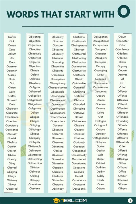 Words That Start With O 1000 O Words In English • 7esl