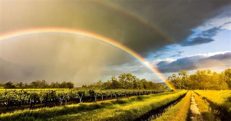 Las últimas Previsiones Para Rosario Temperatura Lluvias Y Viento Infobae