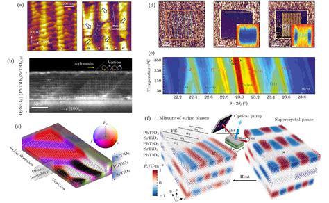 铁电材料中的极性拓扑结构