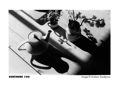 Kentmere 100 35mm 24 – Ag Photographic+Photolab