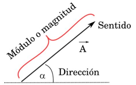 Vectores Clases De Mecánica
