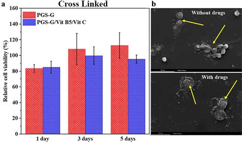 viability of human fibroblasts cultured on samples pgs g pgs g vit c