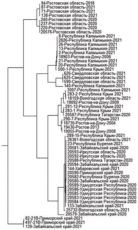 Dendrogram Of Snp Genotypes Of V Cholerae O1 Strains Isolated In The Download Scientific