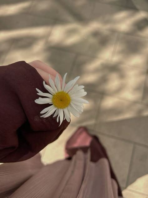 Dps For Instagram Aesthetic