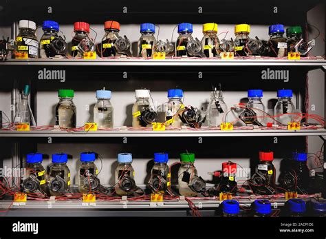 Biofuel Battery Research Shelf Of Biofuel Cells Biobatteries In A