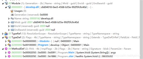 Net Core底层入门学习笔记（一 介绍与il）ldfld Csdn博客