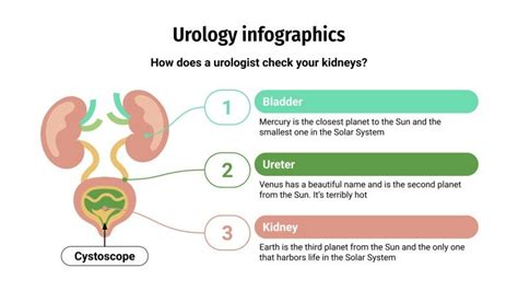 Urology Infographics Google Slides PowerPoint Template