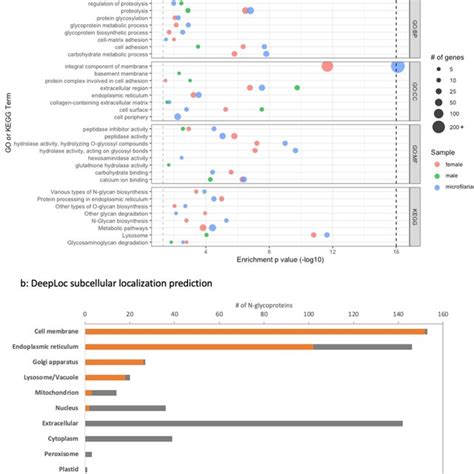 Gene Ontology And Subcellular Localization Prediction And Analysis A Download Scientific