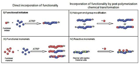 Atrp Complete Tools For The Synthesis Of Well Defined Functionalized Polymers