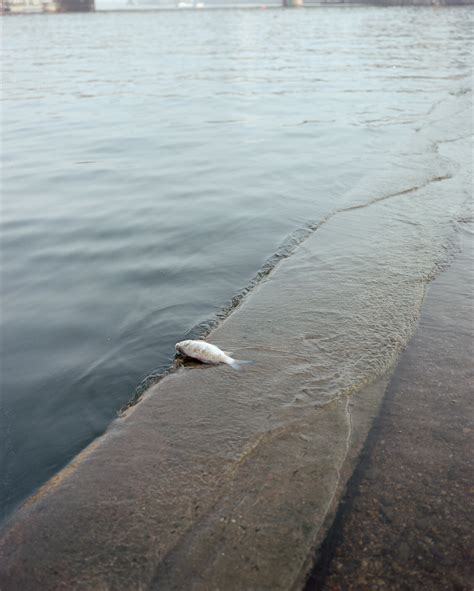 Tianxi Wang 王天羲