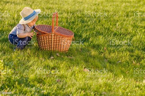 유아 어린이 야외입니다 1 년 된 아기 피크닉 바구니에서 밀 짚 모자를 쓰고 12 23 개월에 대한 스톡 사진 및 기타 이미지 12 23 개월 귀여운 남자 아기