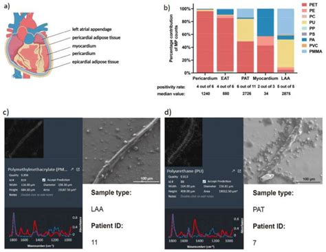 Editorschoice Openaccess Circulatorysystem Exposurepathways