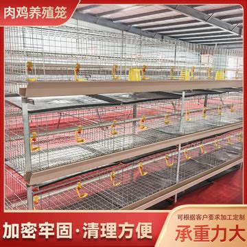 鸡笼框架蛋鸡养殖笼层叠养鸡笼批发阶梯式立体蛋鸡笼3层养鸡笼 阿里巴巴