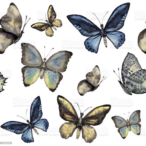 수채화 나비 완벽 한 패턴입니다 손으로 그린 곤충 장식 흰색 배경에 고립 디자인 인쇄 또는 직물에 대 한 그림입니다 갈색에 대한 스톡 벡터 아트 및 기타 이미지 Istock