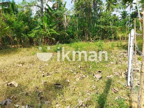 Land For Sale Nittambuwa Ikman