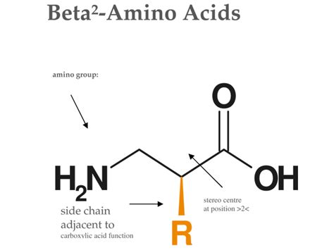 Beta Turns Amino Acids