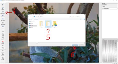 train yolo to detect a custom object online with free gpu pysource