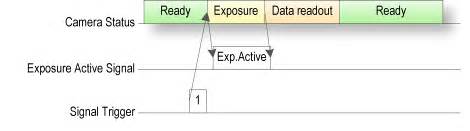 XiAPI Camera Trigger And Synchronization Signals APIs Ximea Support