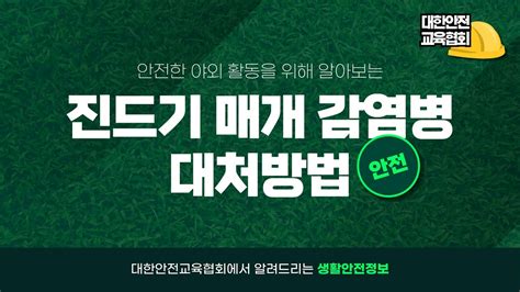 진드기 매개 감염병 대처 방법에 대해 알아보기 대한안전교육협회 Youtube